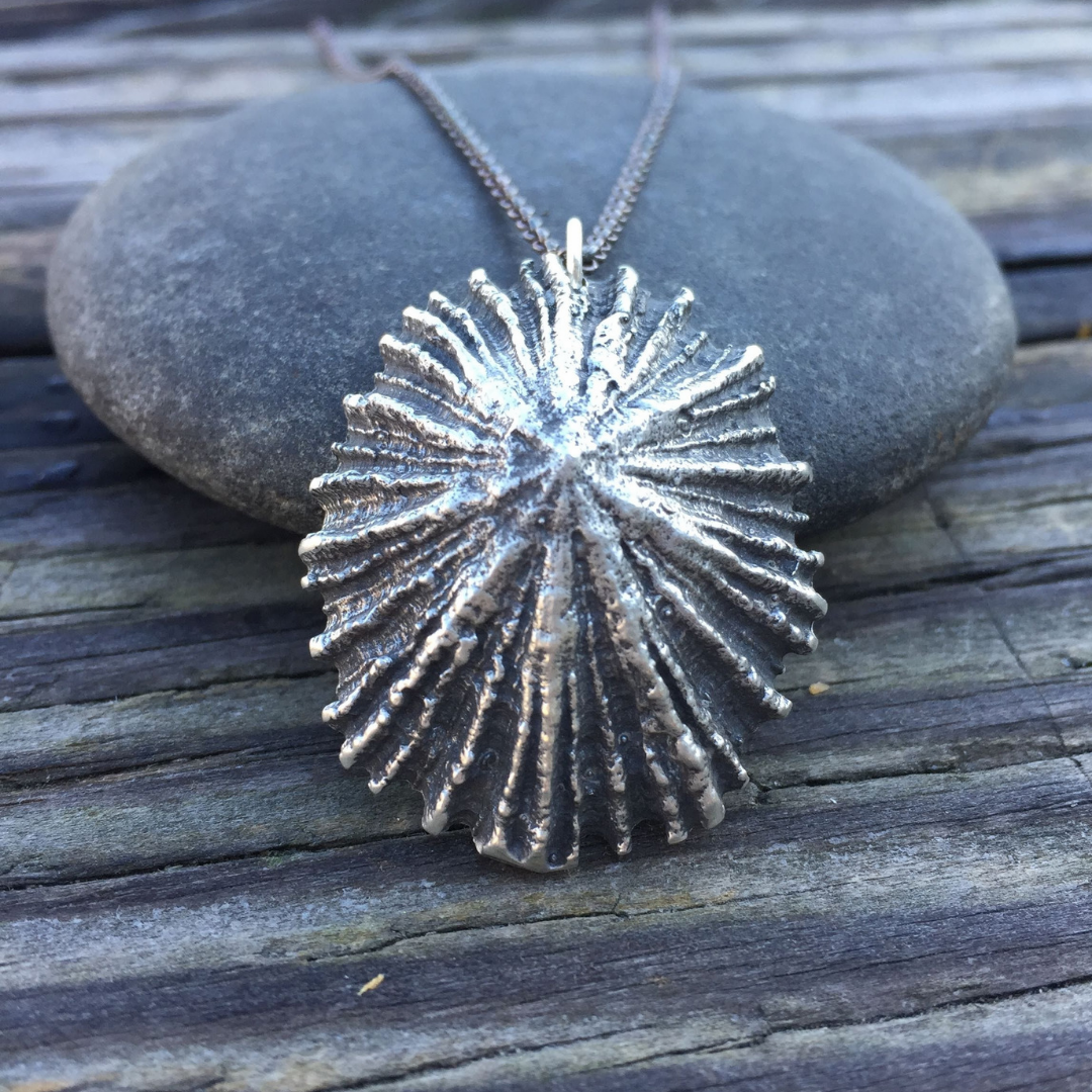 Limpet Shell Jewelry – Morning Moon Nature Jewelry