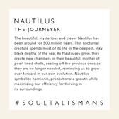 Wayfarer's Wisdom Nautilus Shell Pendant – Morning Moon Nature Jewelry